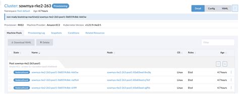 Rke2 Cluster Is Stuck In Provisioning State After An Upgrade To 26