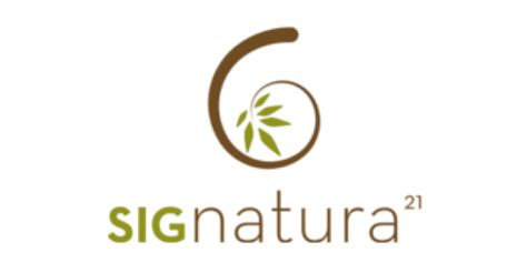 Intersección Con Postgis St Intersects