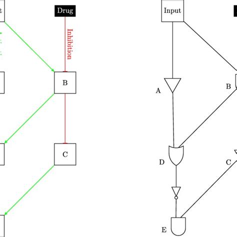 Boolean Representation Of Genetic Regulatory Networks Latex Package Download Scientific