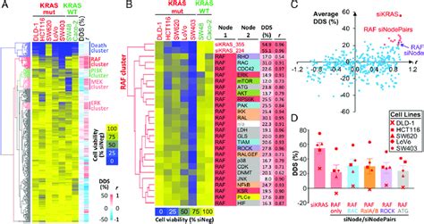 Paired Node Dependency In Kras Mutant Cells A Cell Viability Data Of