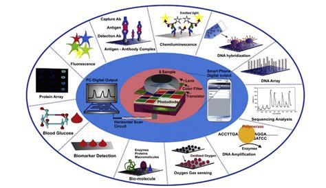 Cmos Sensor Based On Various Biomolecular Diagnoses Dna Dna Download Scientific Diagram