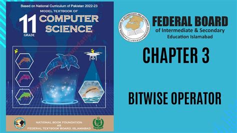 10 Bitwise Operator Bitwise And Or Xor Not Left Shift Right Shift Operators Chapter 3