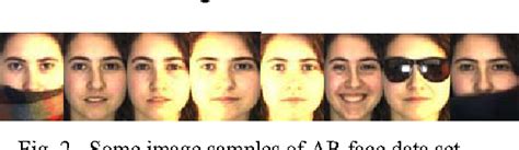 Figure 2 From Kernel Sparse Representation Based Classification For