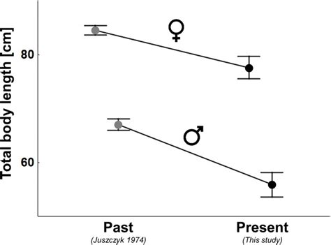 The Effect Of Study Period And Sex On The Total Length Of The Grass Download Scientific Diagram