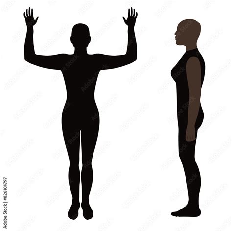 Full Length Front View Of A Lean Bald Standing Naked Girl Silhouette Isolated On White