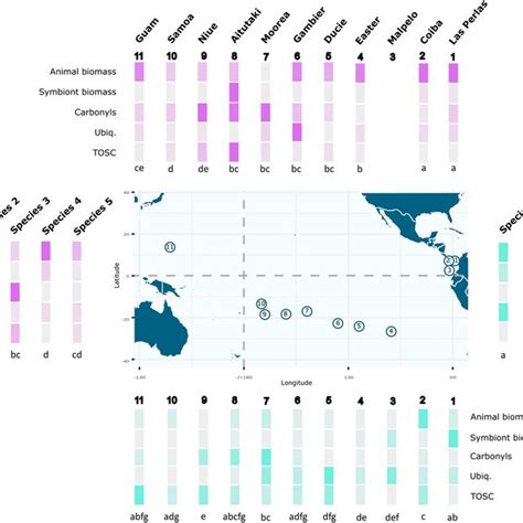 Distribution Of Phenotypic Signatures Across Corals And Islands The Download Scientific Diagram