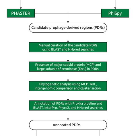 Flow Chart Of The Identification And Characterisation Of Curtobacterium Download Scientific