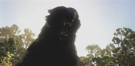 Brave Mordu Demon Bear In The Forest