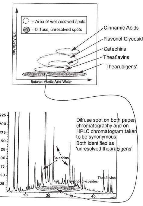 Paper Chromatography Vs Hplc