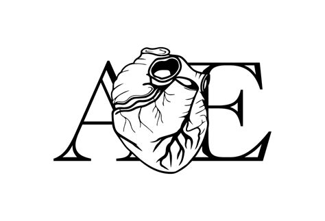 Gross Epicardial Topography Of The Atriums Cardiac Anatomy For Electrophysiologist