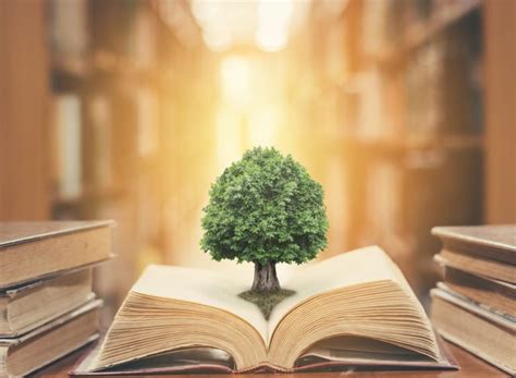Curso Iniciação Wicca Descubra A Verdade Por Trás Da Magia