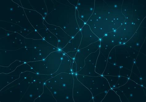 Vector Plexus At Vectorified Com Collection Of Vector Plexus Free For Personal Use