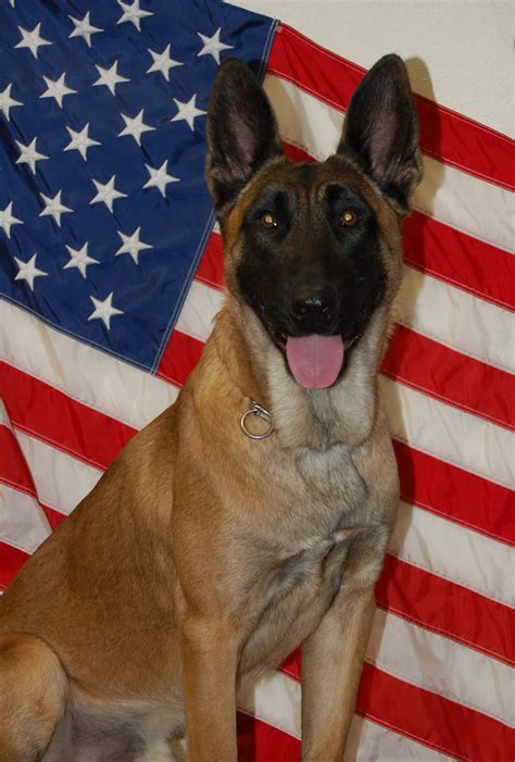 K 9 Unit Portage County Wi