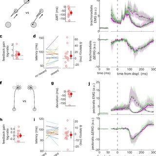 Sensorimotor Feedback Loops Involved In Motor Control A Feedback Download Scientific Diagram