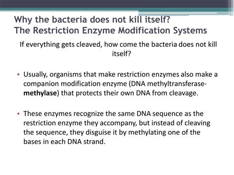 Ppt Restriction Enzyme Digestion Powerpoint Presentation Free Download Id 1794129