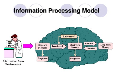 Information Processing Means