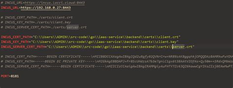 Incus Go Client Unable To Read Pem Certificate While Accessing Remote Host Incus Linux