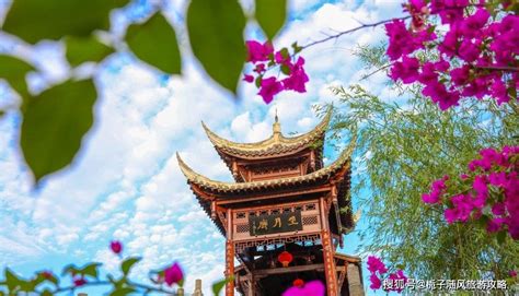 四川遂宁下辖的5个行政区域一览 中国