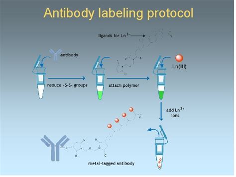Massively Multiparametric Flow Cytometry With Mass Spectrometer Detection
