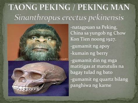 Mga Unang Tao At Ang Kanilang Distribusyon Sa Daigdig