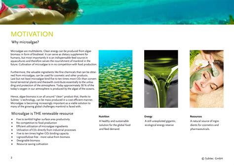 Information On Microalgae And Photobioreactors Ppt