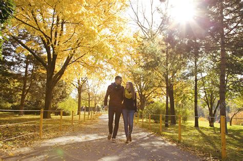 Couple Strolling In Autumn Park Stock Image F0098911 Science Photo Library