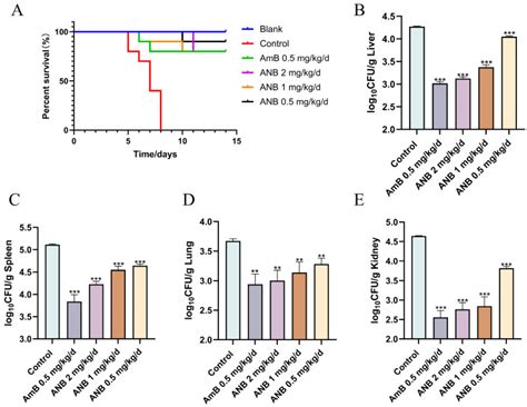 Integration Of Transcriptomics And Proteomics To Elucidate Inhibitory