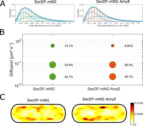 Figure 1 From B Subtilis Sec And Srp Systems Show Dynamic Adaptations