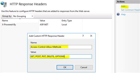 Iis Allow Put In Net 6 Web Api Stack Overflow