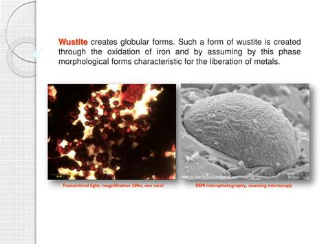 Ppt Morphology Of Slags Components By Scanning Microscopy Powerpoint