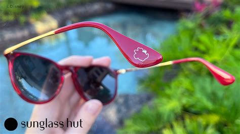 Sunglass Hut D23