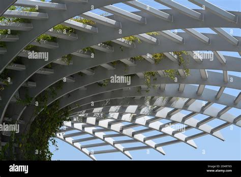 Canopy Structure Meaning At Minh Boser Blog