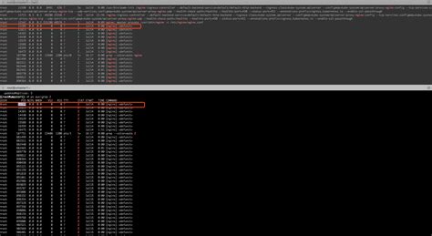 There Are Many Nginx Zombie Processes When I Start Ingress Controller Issue Kubernetes