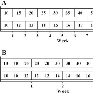 Schematical Figure Depicting The Treadmill Exercise Training Protocol Download Scientific