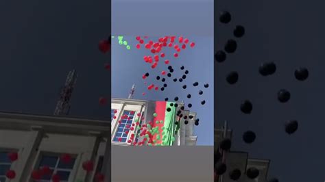 بیرق افغانستان😍 Youtube