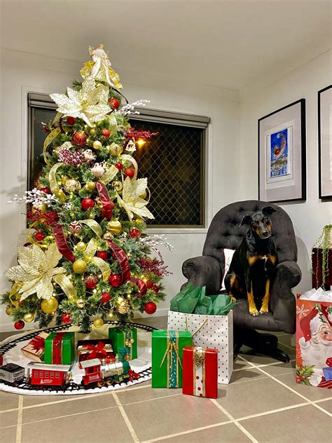 Pipi Is Relieved The Tree Is Finally Up Rchristmas