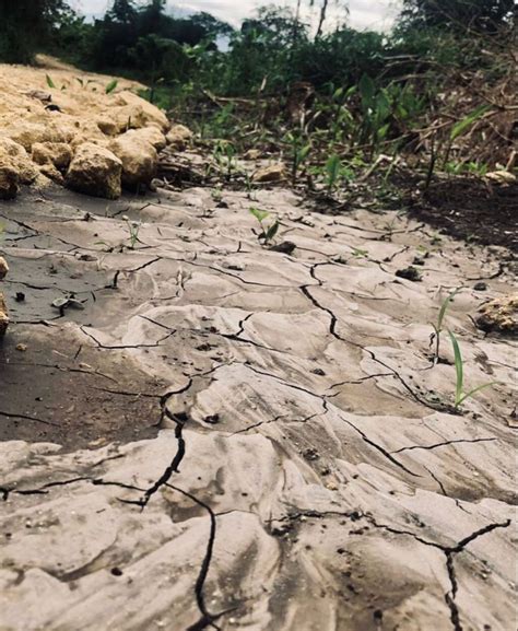 Nice Cracked Soil Texture Photography