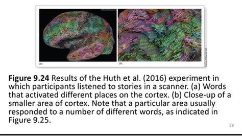 Cog Psyc Exam 3 Flashcards Quizlet