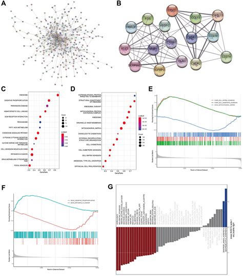 knockdown of long noncoding rna al161431 1 inhibits malignant