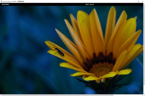 内网穿透实现windows远程桌面访问ubuntu，简单高效的远程桌面解决方案ubuntu内网穿透远程桌面 Csdn博客