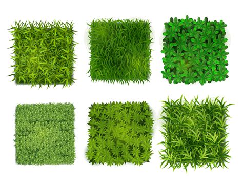 Realistic Detailed 3d Green Ground Cover Plants Set Vector 21678127 Vector Art At Vecteezy