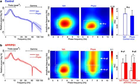 Acetylcholinesterase Inhibitor Treatment Increased Theta Gamma Phase Download Scientific