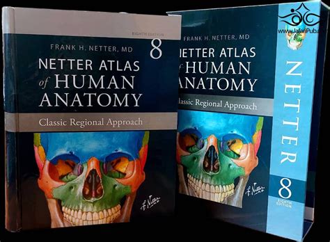 Netter Atlas Of Human Anatomy Classic Regional Approach Netter Basic Science 8th Edition