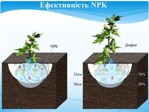 Виноград система живлення від «Агровіо Україна Агровіо Україна