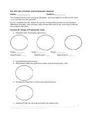 Understanding Protists And Prokaryotes In Bio Lab Course Hero