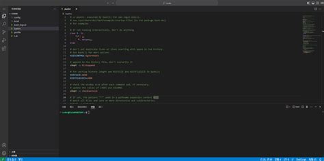 使用 Docker 部署 Vs Code In The Browserdocker安装vscode Csdn博客