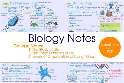 Goodnotes Biology Science Notes Graphic By Daisyartdecor · Creative Fabrica