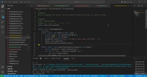 Video Day 30 Of Java Programming Challenge With Tap Academy Raman
