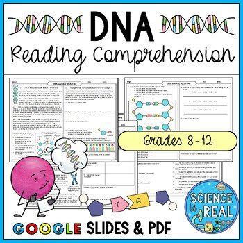 DNA Reading Comprehension And Questions Science Is Real Education