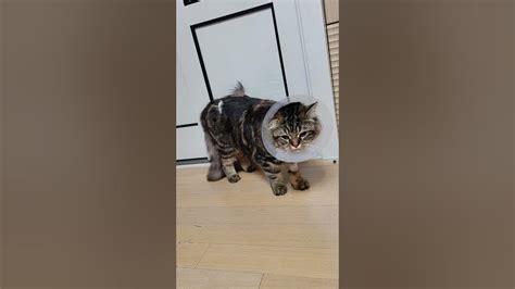 옛날사진 Youtube